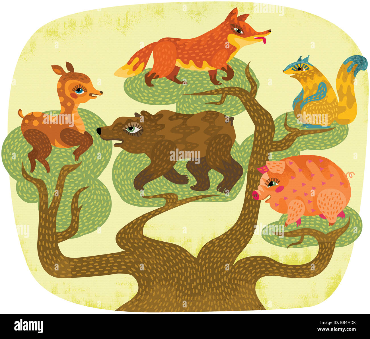 Five different species hi-res stock photography and images - Alamy