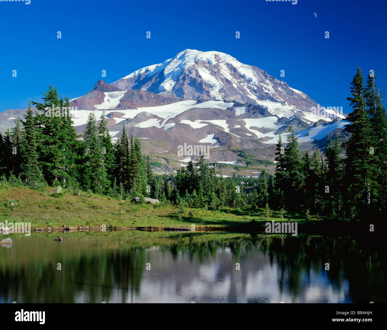 Mt. Rainier National Park, WA Mount Rainier rises above an alpine tarn ...