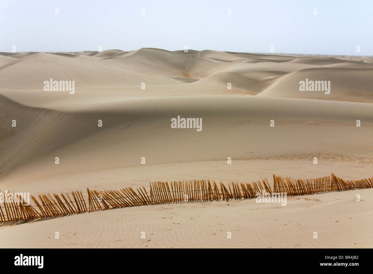 Desertification Stock Photos & Desertification Stock Images - Alamy