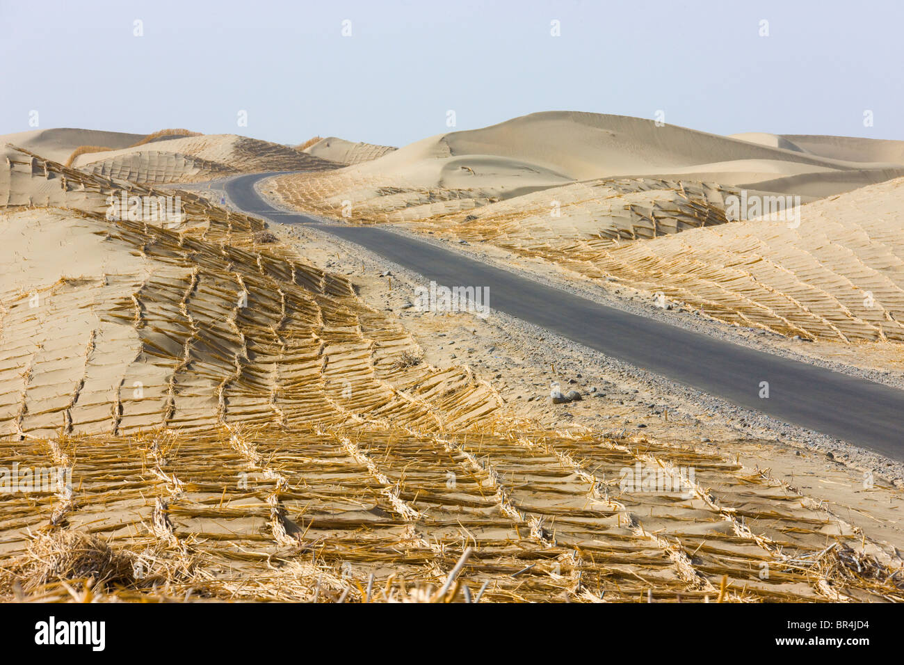 Desertification