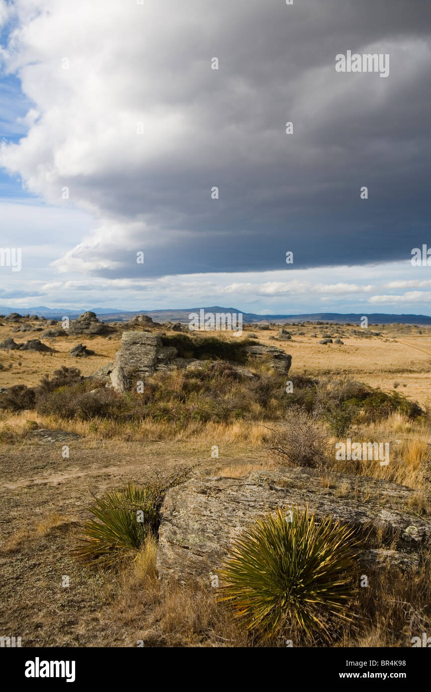 Middlemarch new zealand hi-res stock photography and images - Alamy
