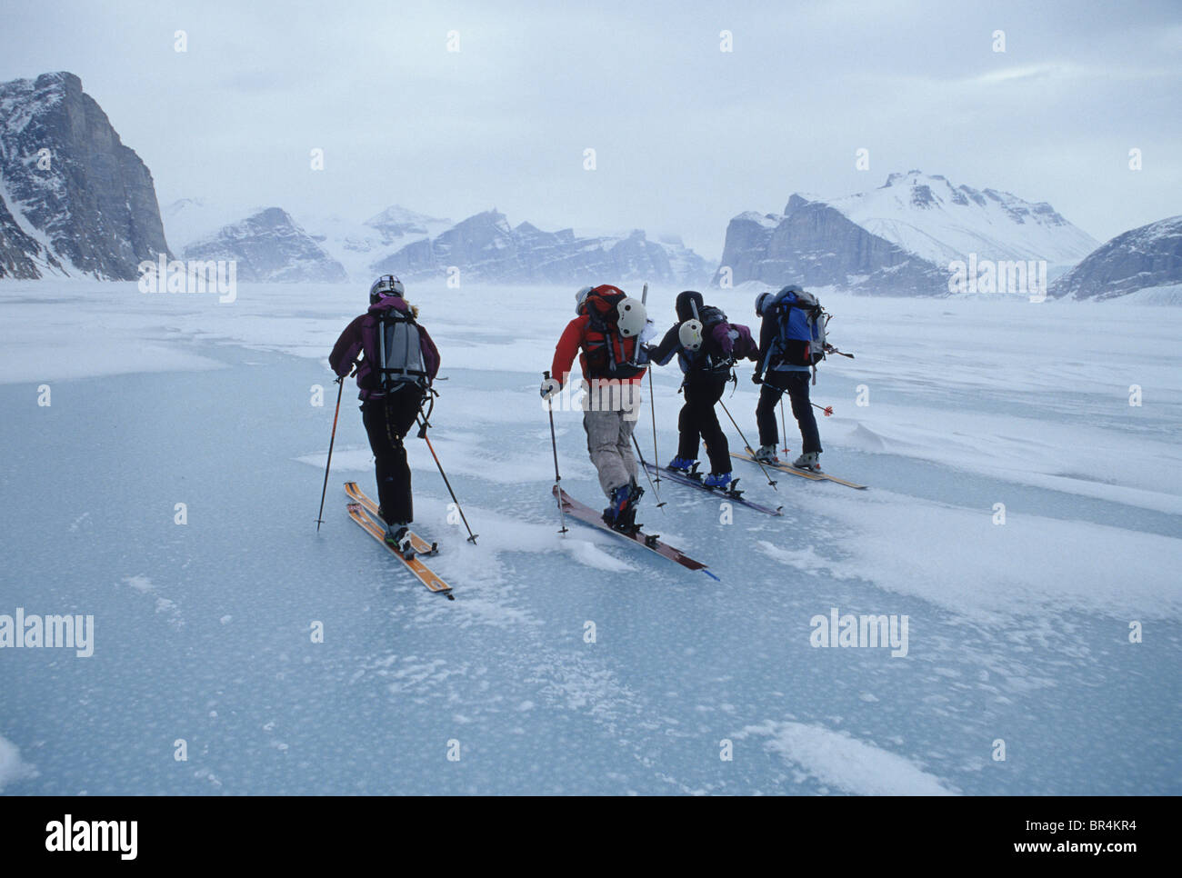 Four skiers sking across frozen fjord ice, Baffin Island, Canada Stock ...