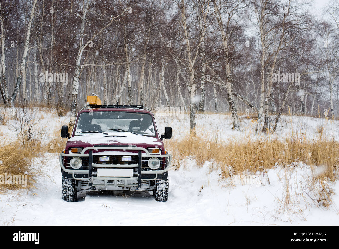 russian off-road four-wheel drive vehicle in winter birch forest while ...
