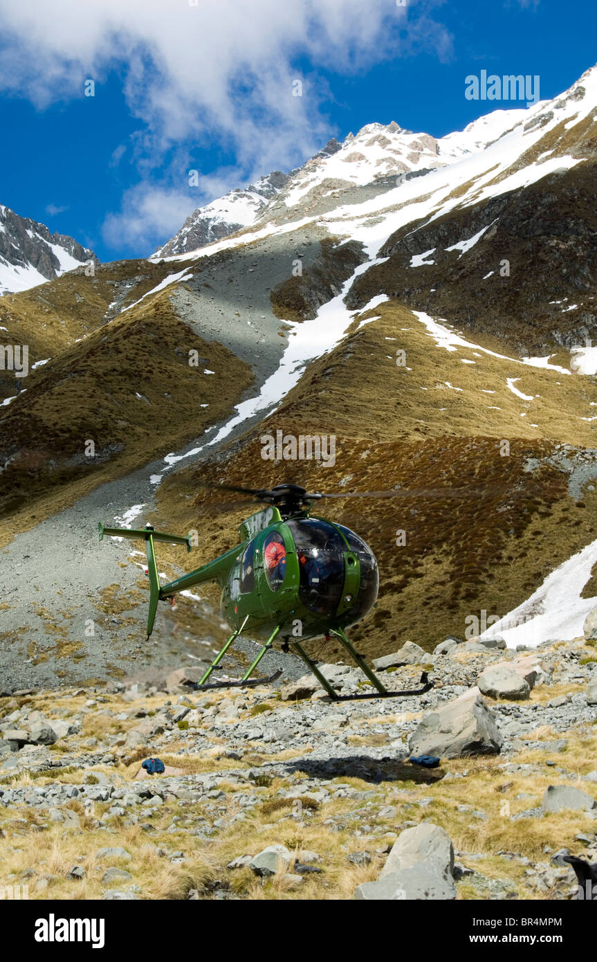 New Zealand, South Island, Arrowsmith Range. Helicopter arriving with a ...