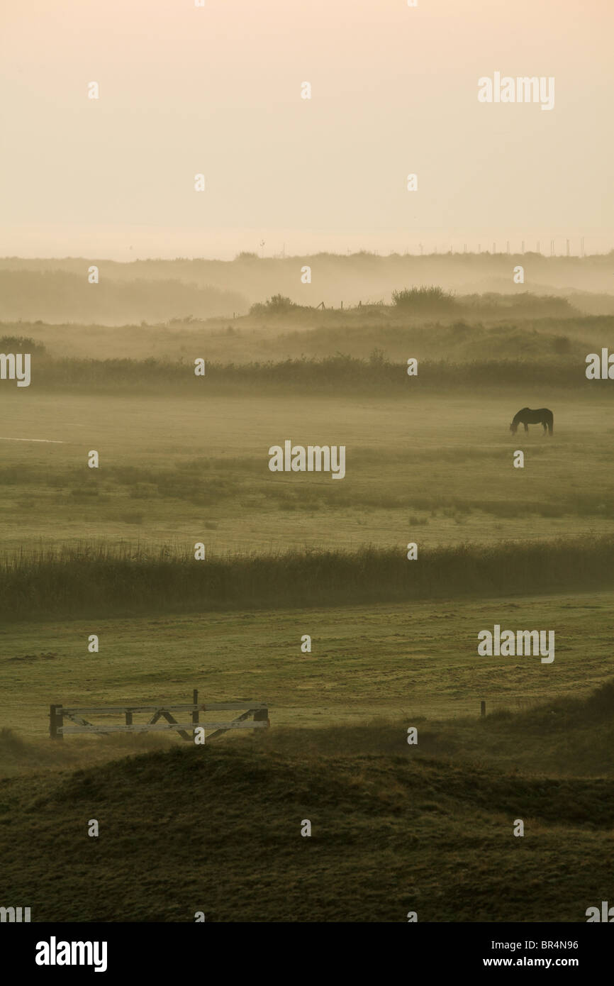 Break of dawn above texel hi-res stock photography and images - Alamy