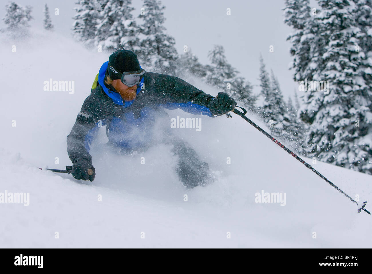 Person skiing down fresh powder slope hi-res stock photography and ...