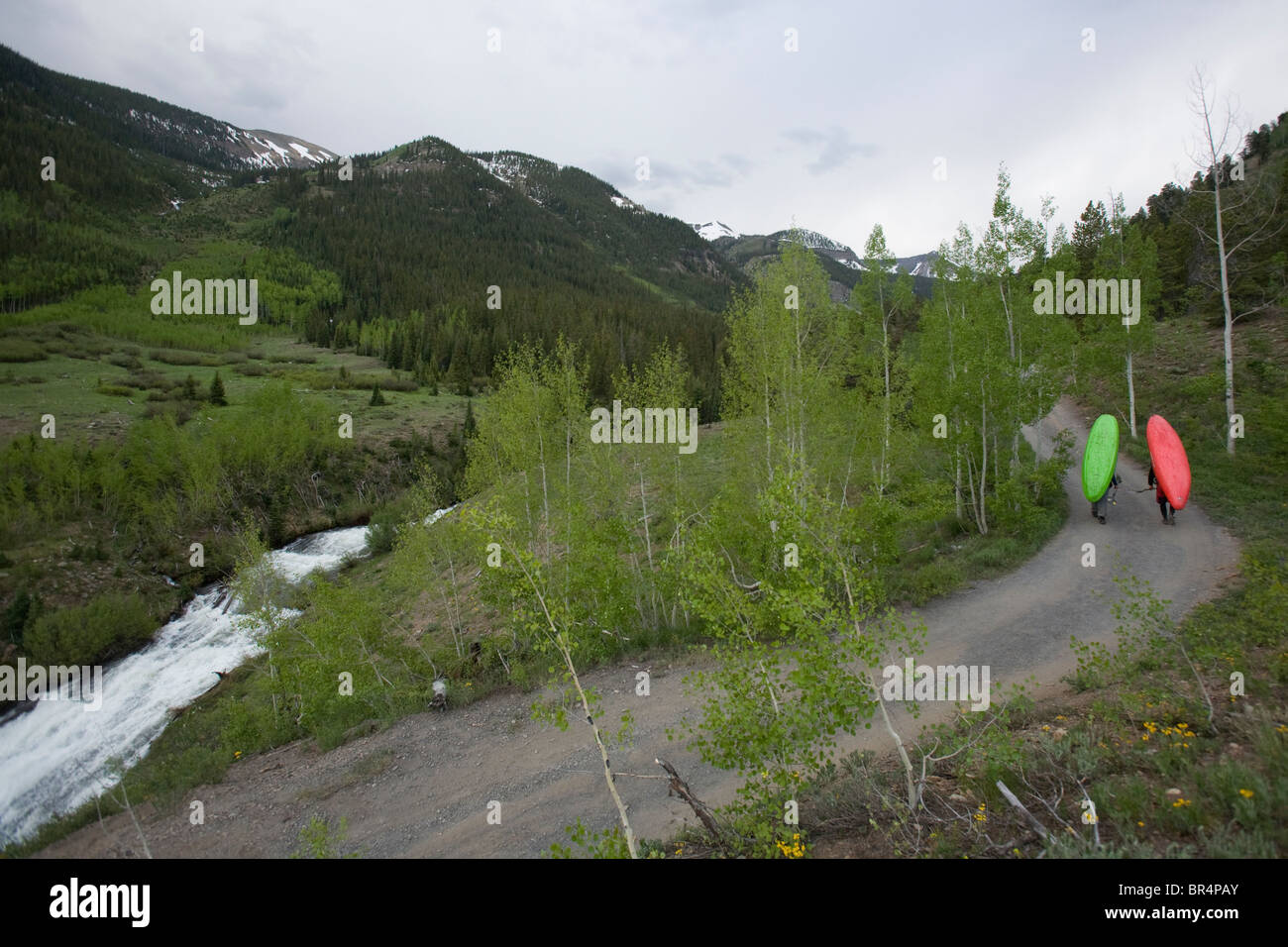 Two kayakers hiking up a 4-wheel drive road with their kayaks Stock ...