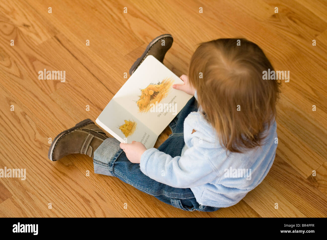 Over the shoulder reading a book hi-res stock photography and images ...