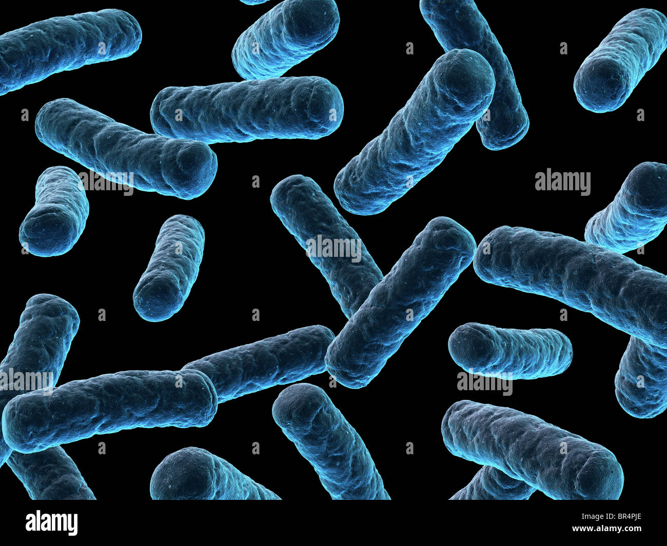 Bacteria hi-res stock photography and images - Alamy