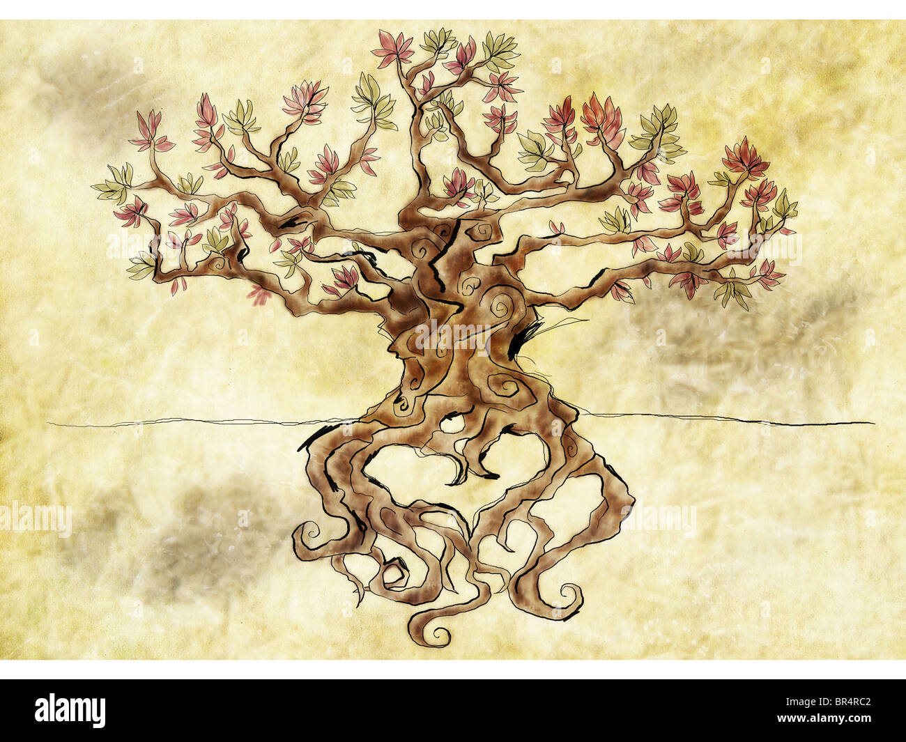 Tree With Roots And Heart