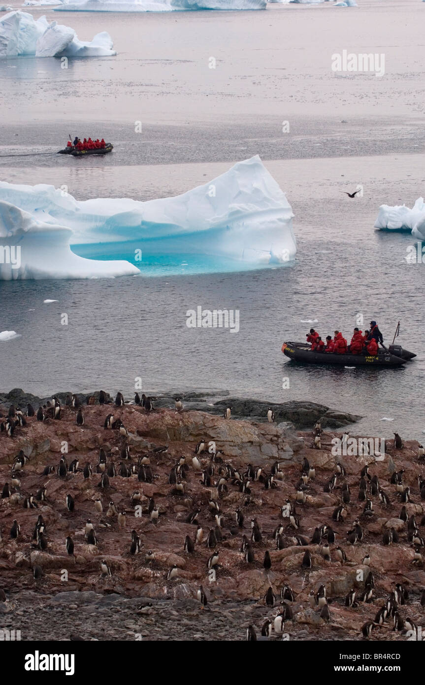 The west coast of Antarctica's peninsula known as Graham Land Stock ...