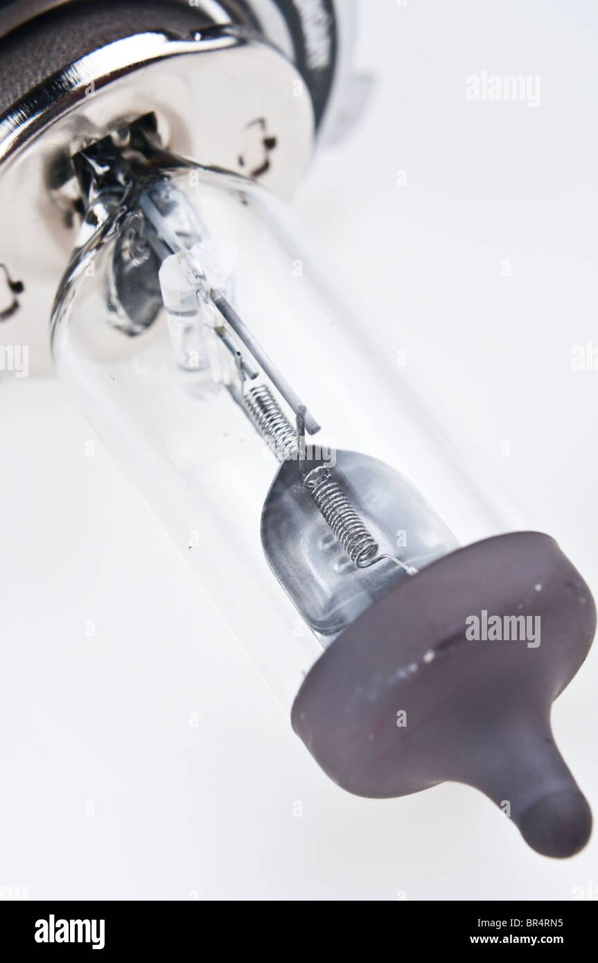 car halogen light bulb Stock Photo - Alamy