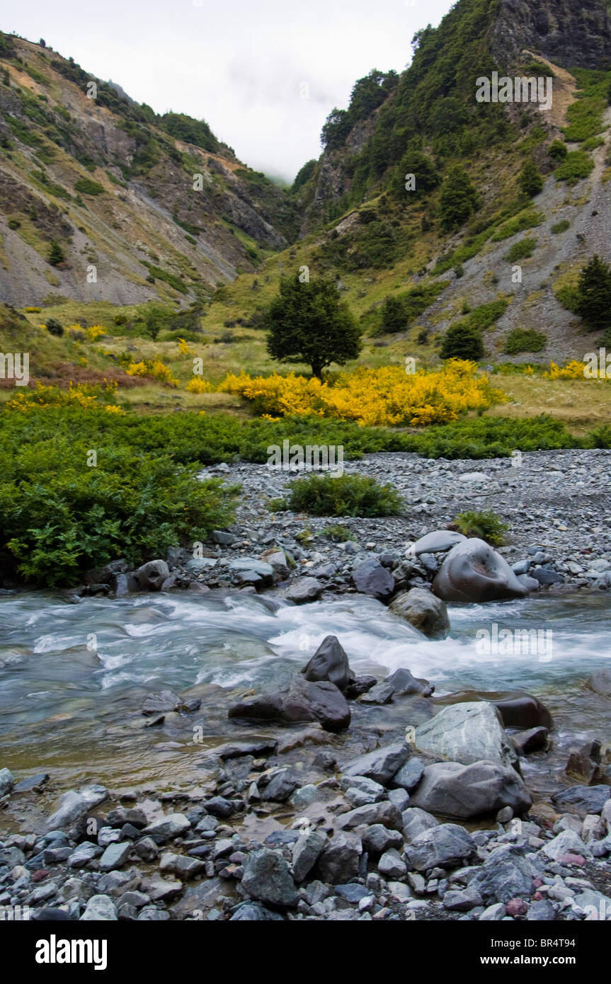 Cass River Stock Photos & Cass River Stock Images - Alamy