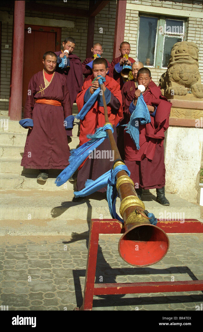 Trompes hi-res stock photography and images - Alamy