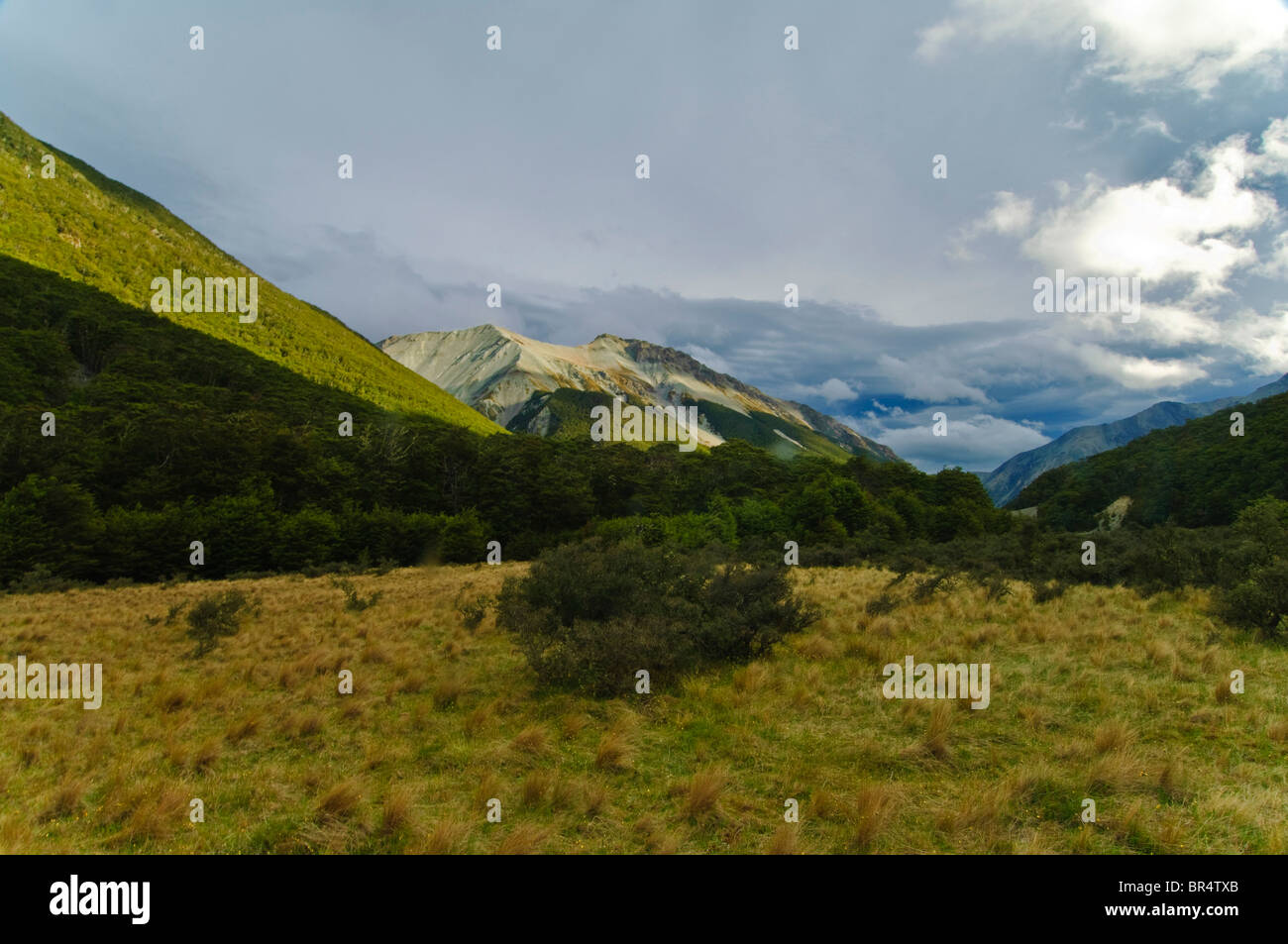 Avoca Island Stock at Gary Delariva blog