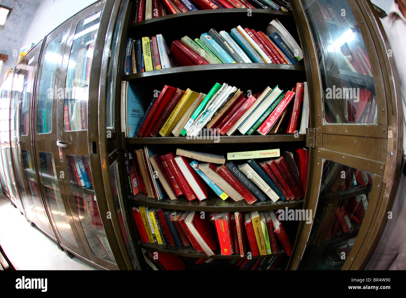 Fish eye perspective hi-res stock photography and images - Alamy