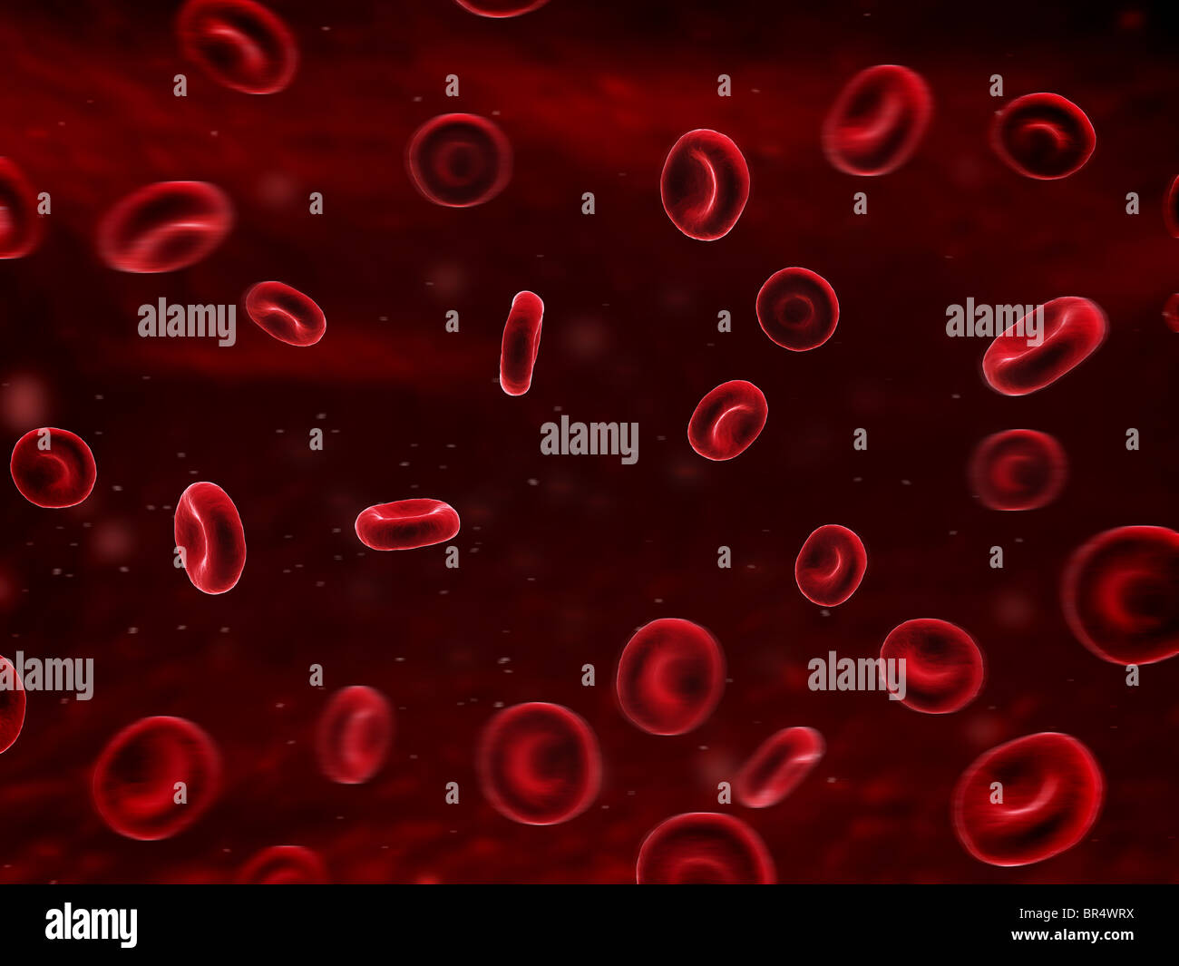 Blood Clot Clotted High Resolution Stock Photography and Images - Alamy