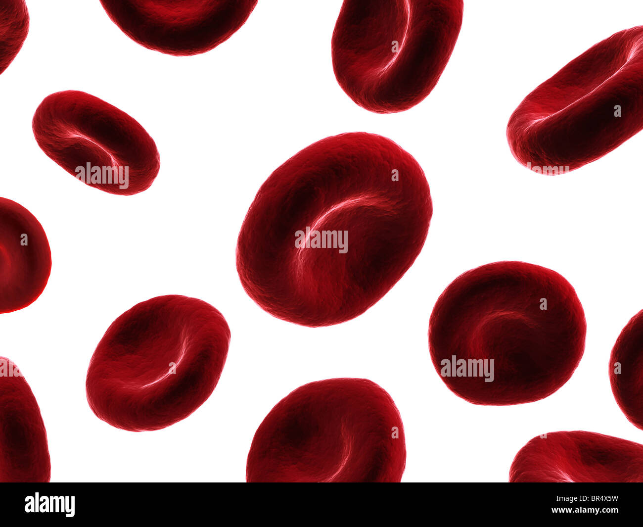 Blood clot clotted hi-res stock photography and images - Alamy