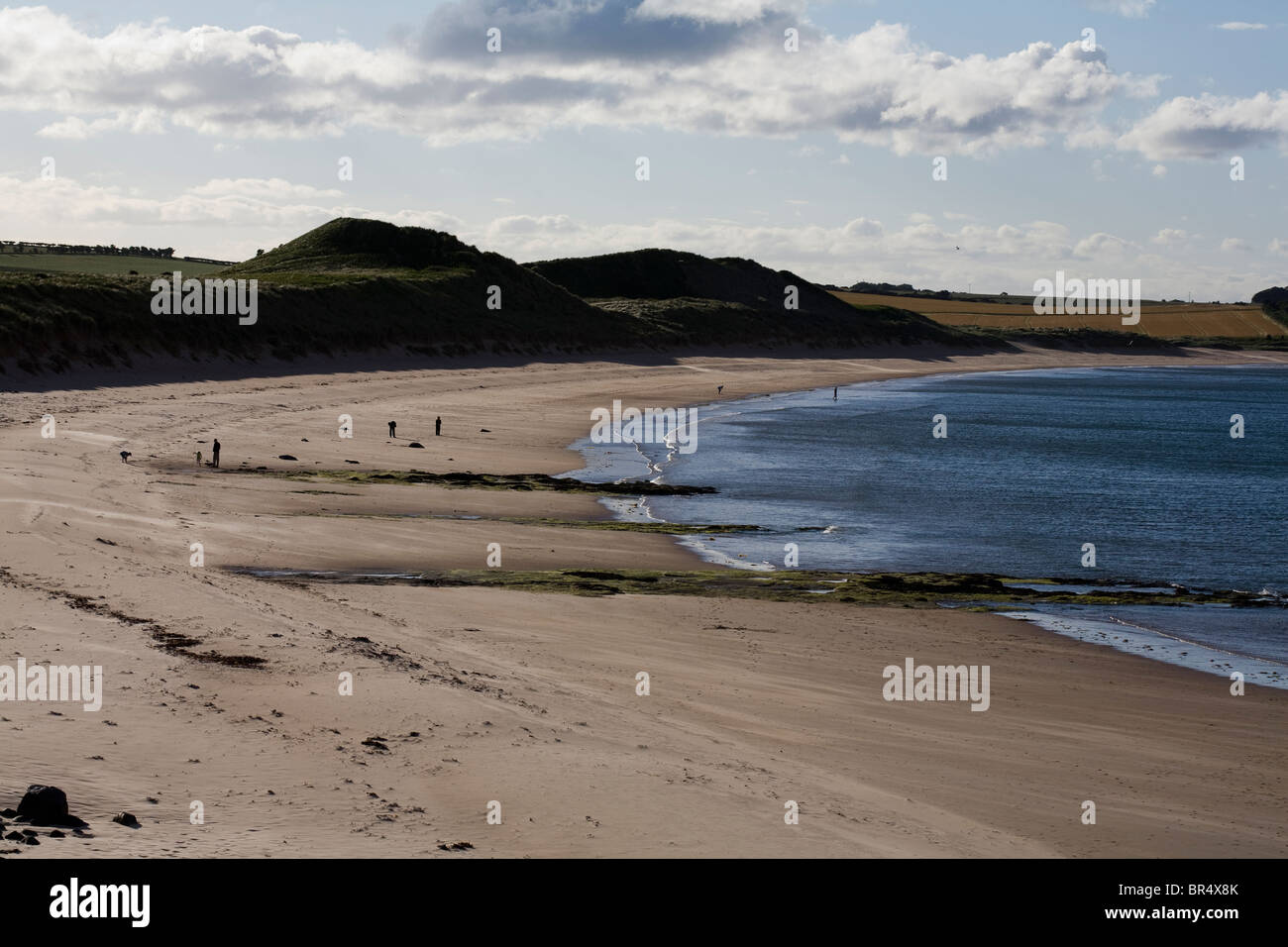 The sandy beach at Embleton Bay Embleton Northumberland England Stock ...