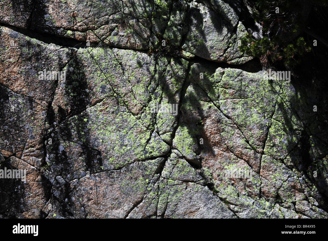 Leafy shadows and split cracked granite with moss in the Pyrenees Spain ...