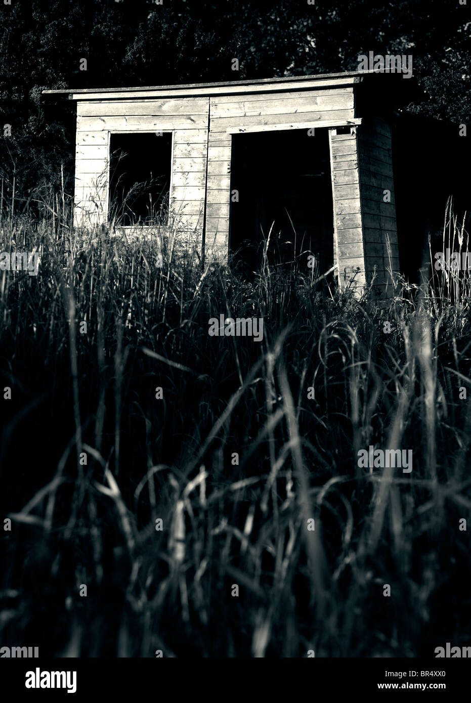 Shack in long grass Stock Photo - Alamy