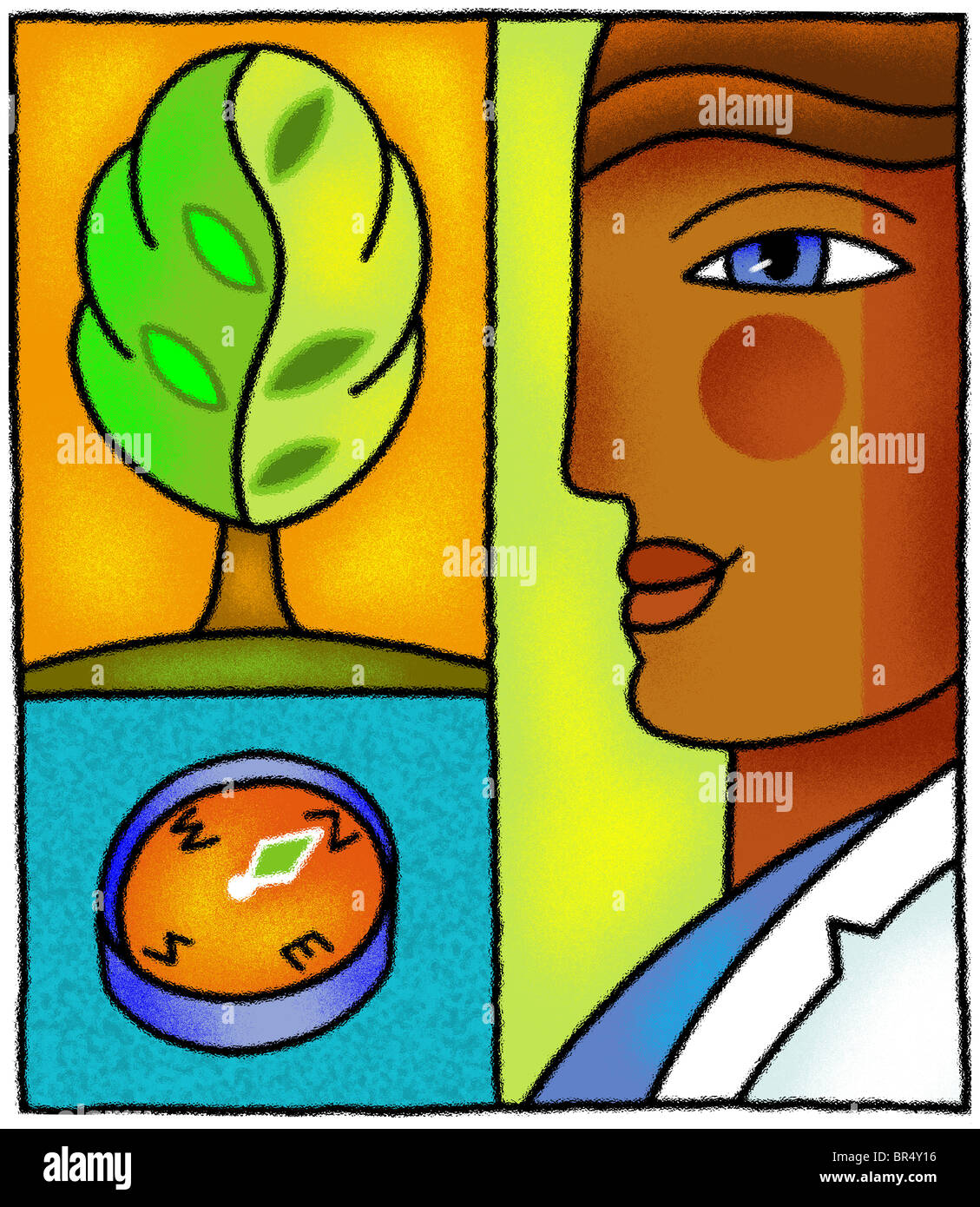 Doctor, tree and compass Stock Photo - Alamy