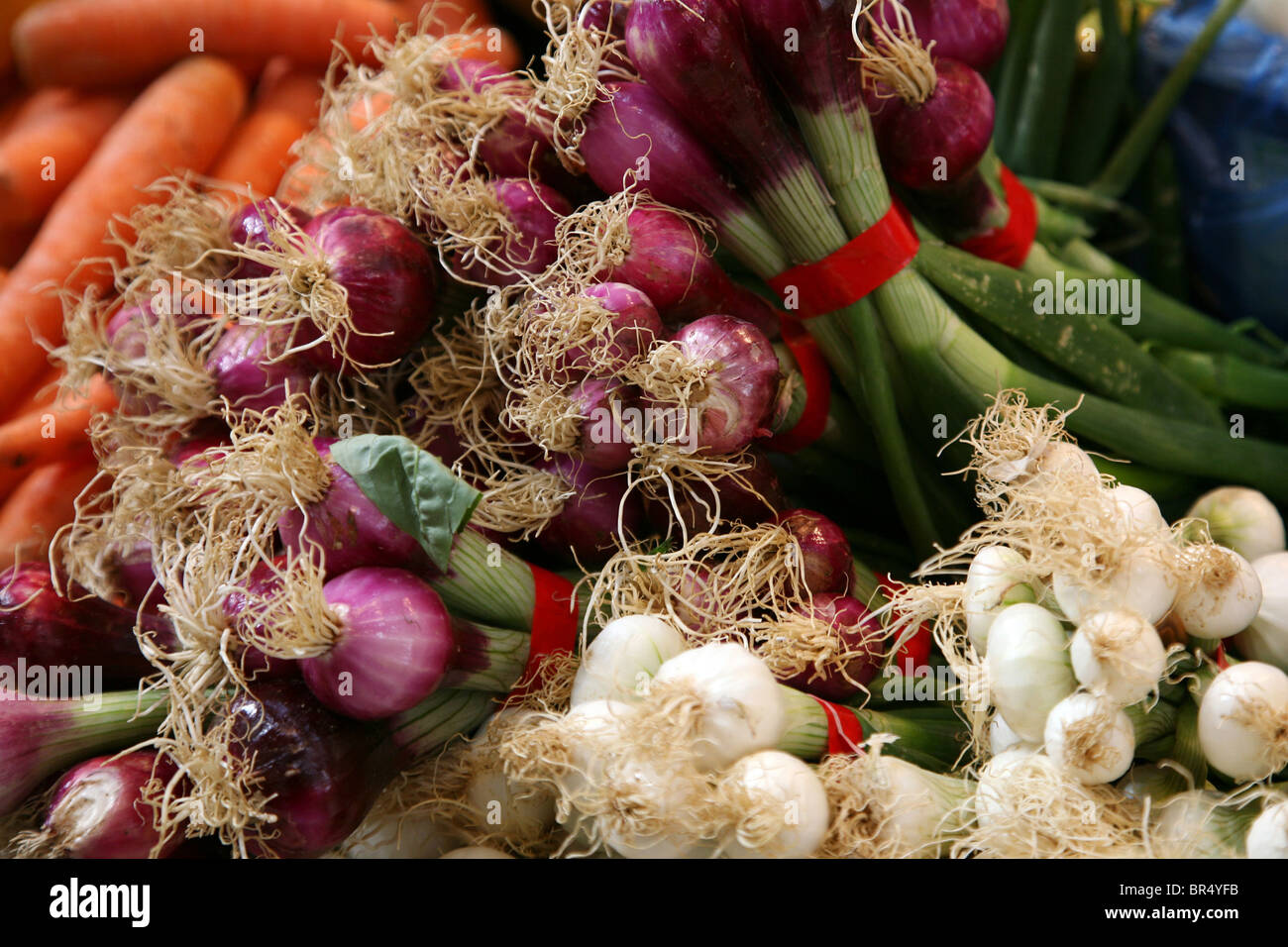 Culti hi-res stock photography and images - Alamy