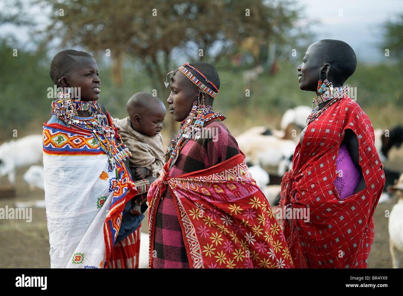 Masai houses hi-res stock photography and images - Alamy