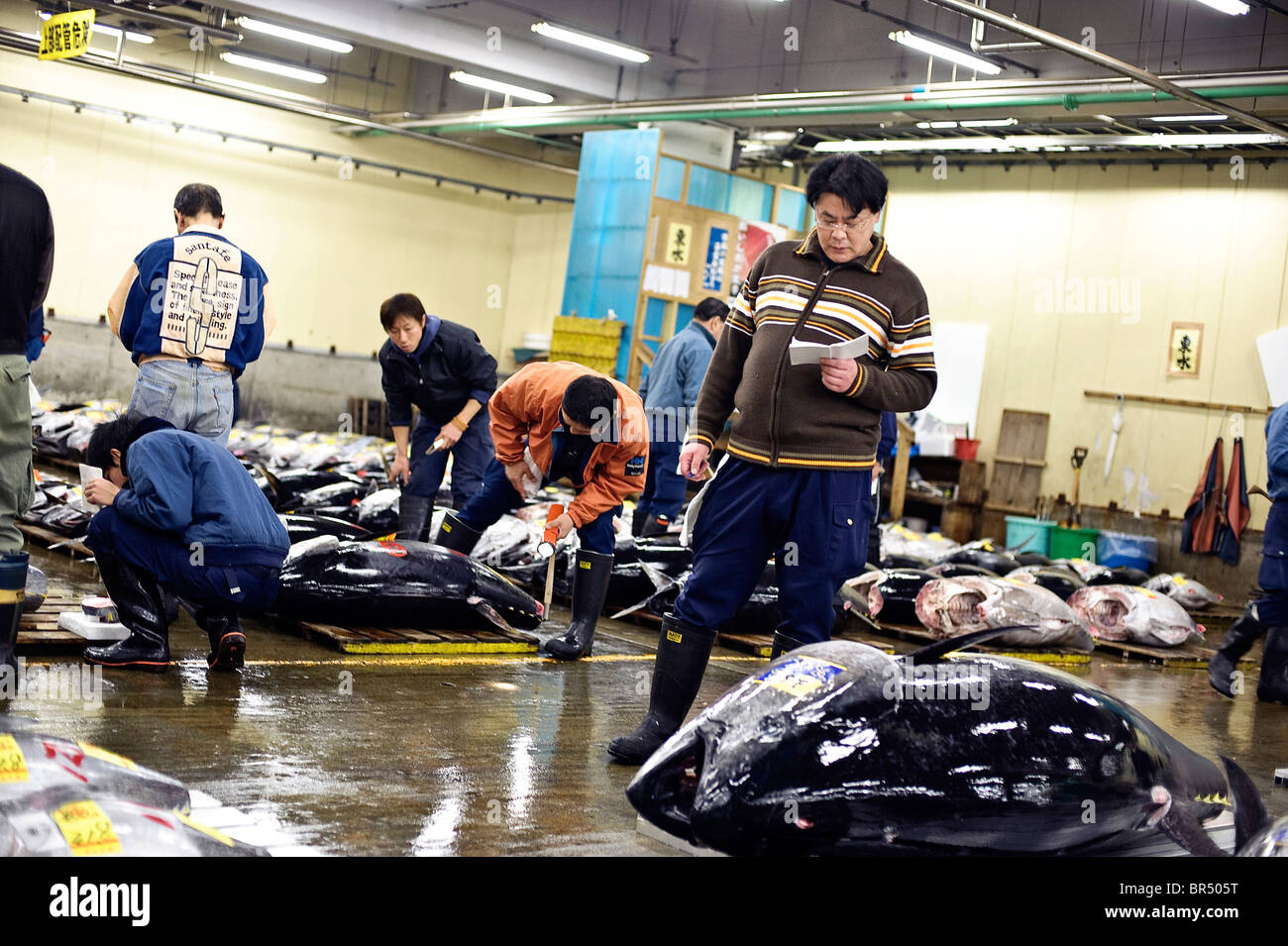 Lue fin tuna international trade hi-res stock photography and images ...