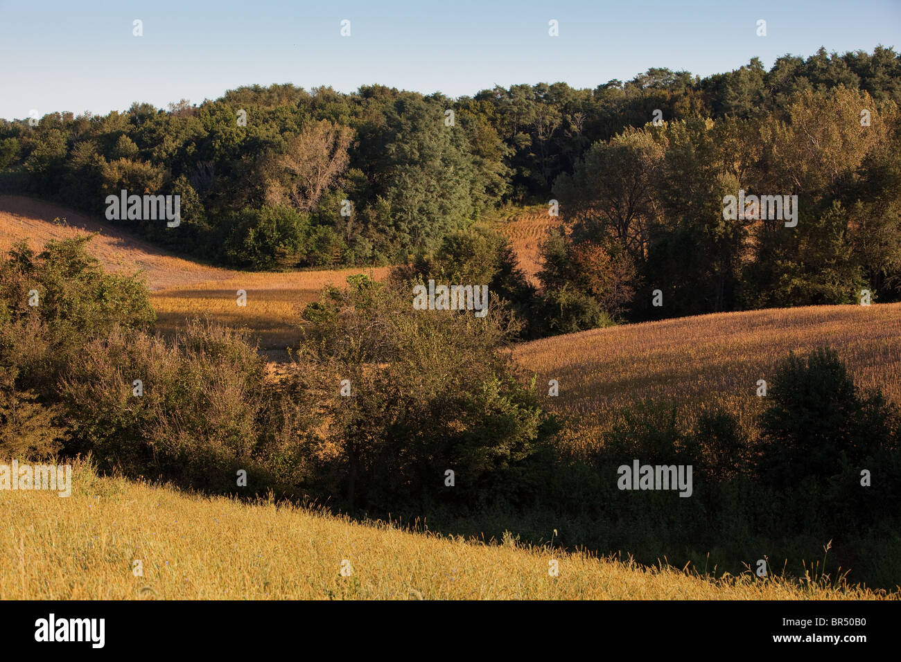 Iowa corn fields hi-res stock photography and images - Alamy