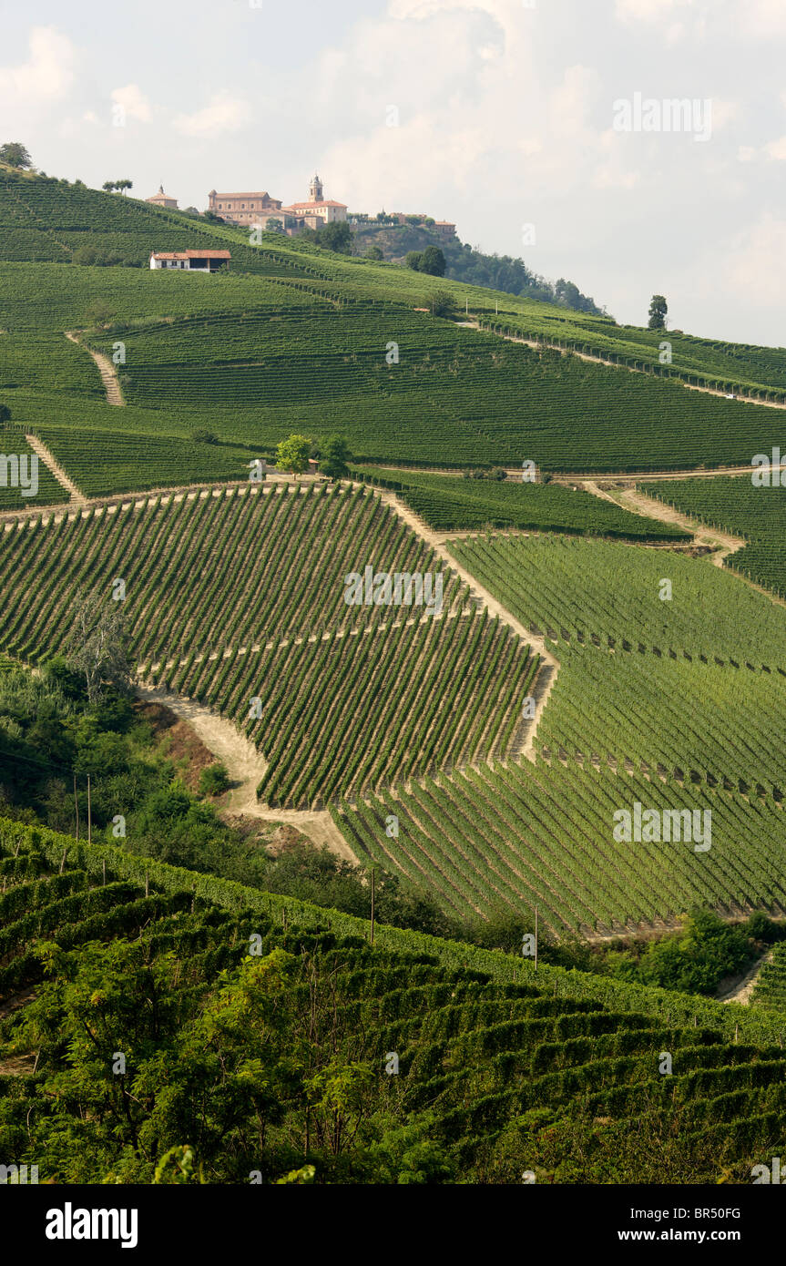 Piemonte wine hi-res stock photography and images - Alamy