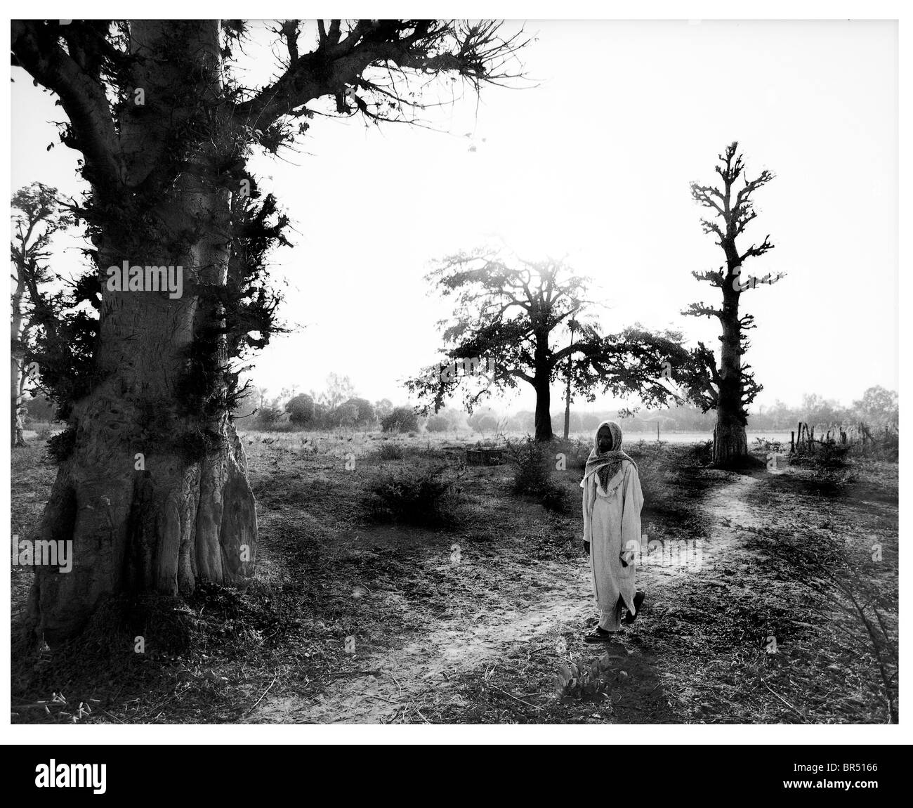 Length landscape portrait Black and White Stock Photos & Images - Alamy
