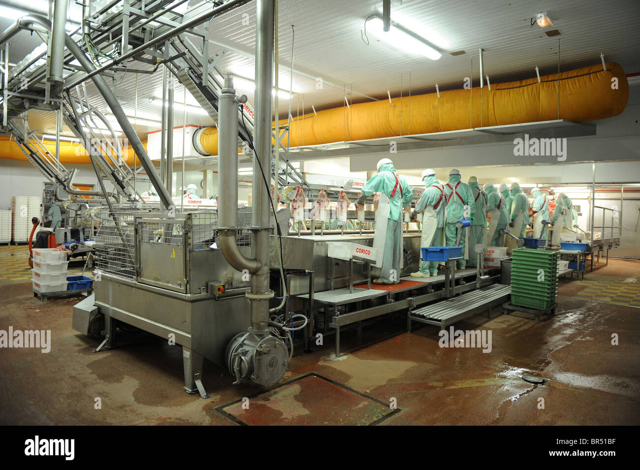 Monsols (69): "Corico" turkey slaughterhouse Stock Photo - Alamy