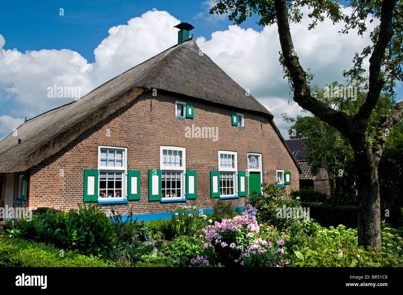 Dutch reformed calvinist hi-res stock photography and images - Alamy