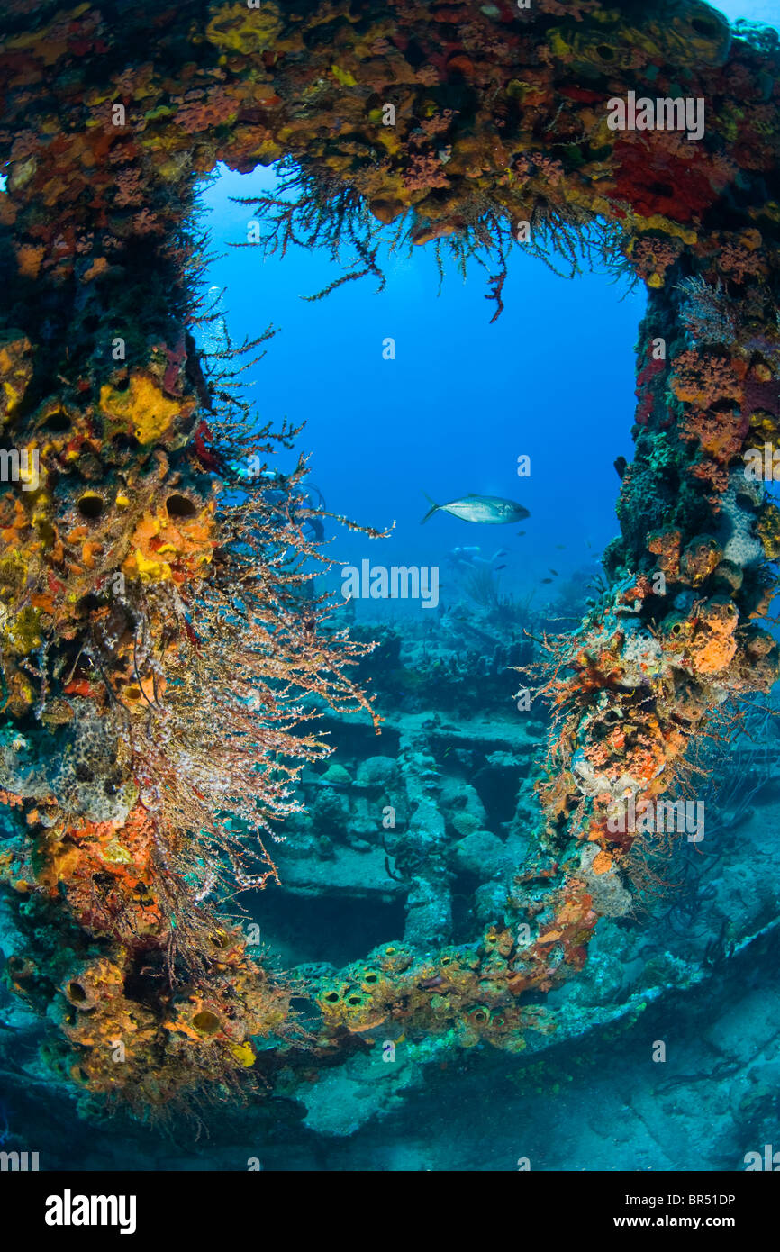 Wreck of the RMS Rhone, iron-hulled steam sailing vessel, sank after ...