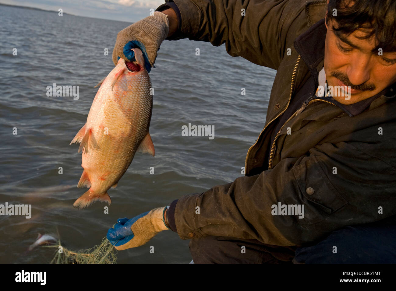 Fort chipewyan hi-res stock photography and images - Alamy