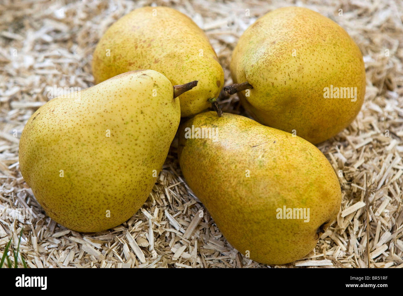 Minarette fruit hi-res stock photography and images - Alamy