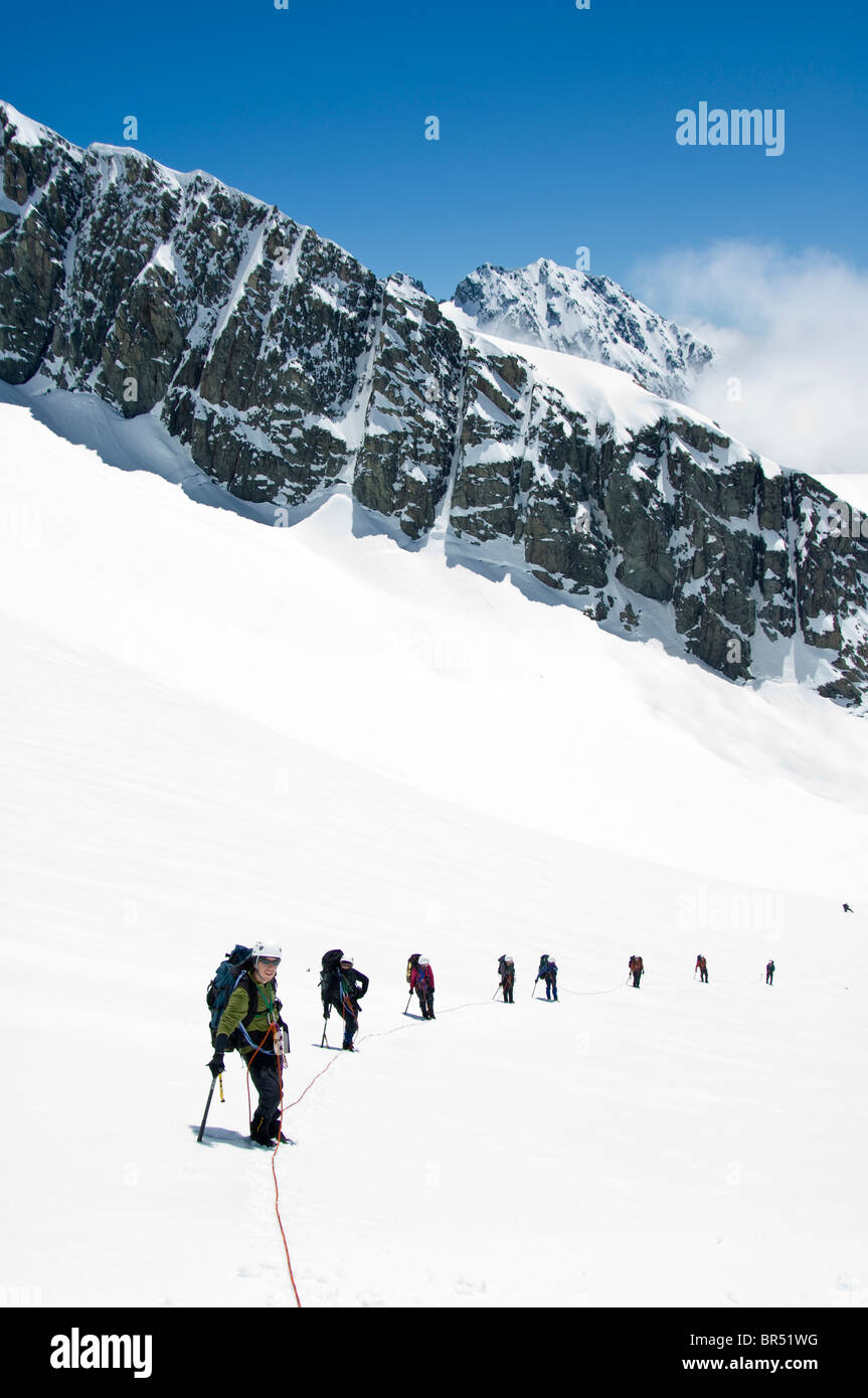 W forrest hi-res stock photography and images - Alamy