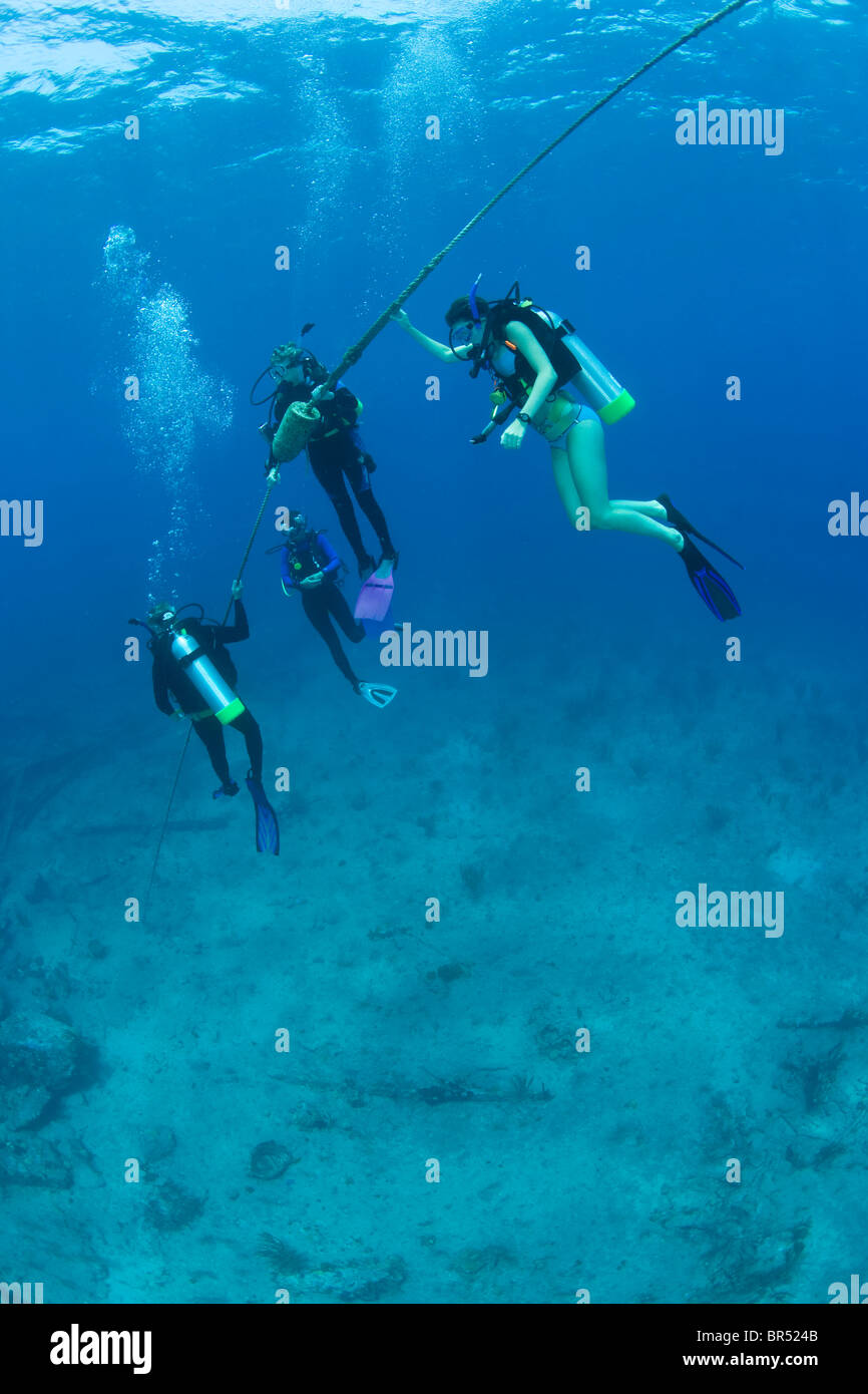 anchor line Scuba Divers Wreck of the RMS Rhone off the coast of Salt ...