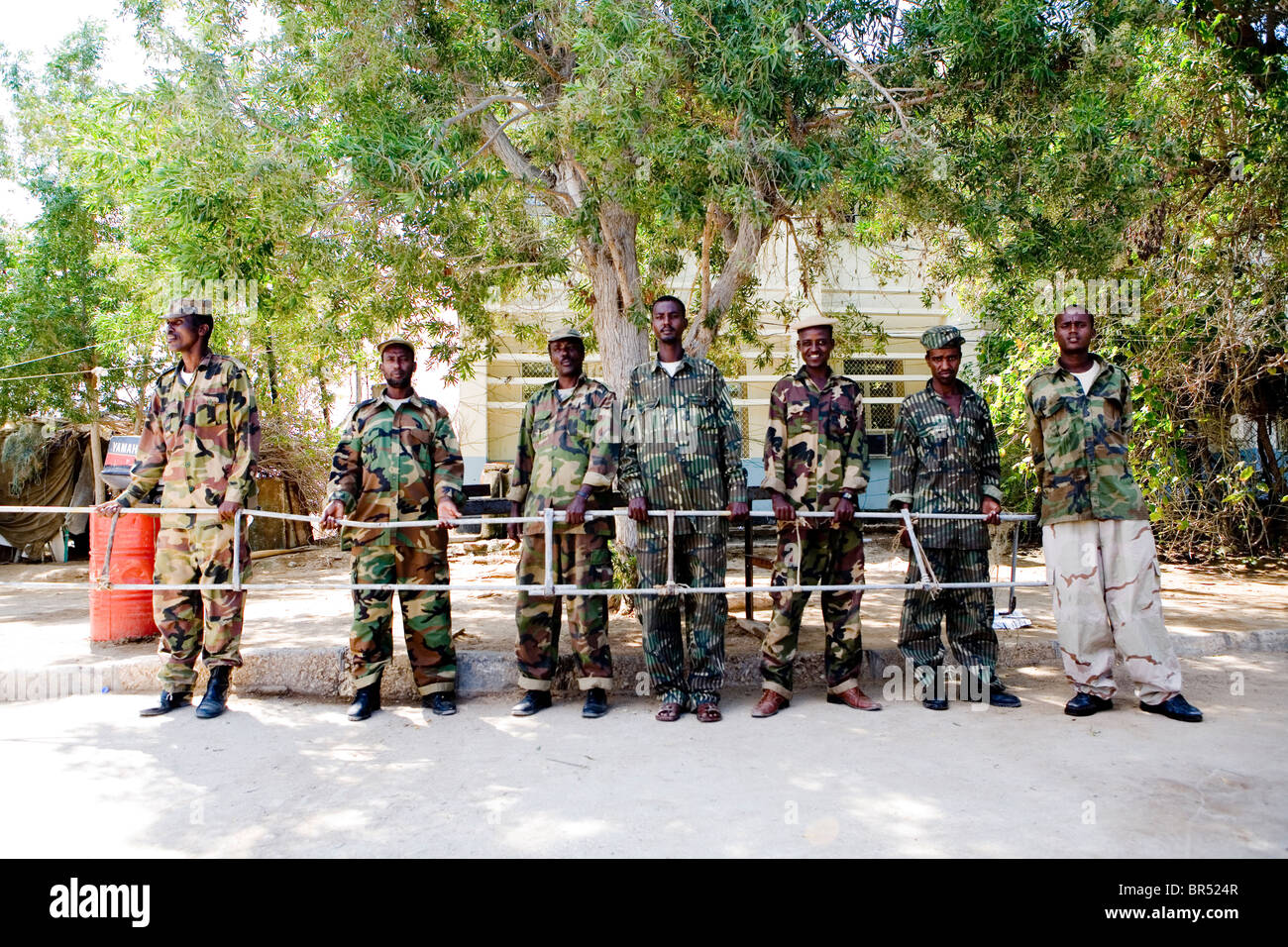 Somaliland coast guard pose with a makeshift ladder used by pirates to ...