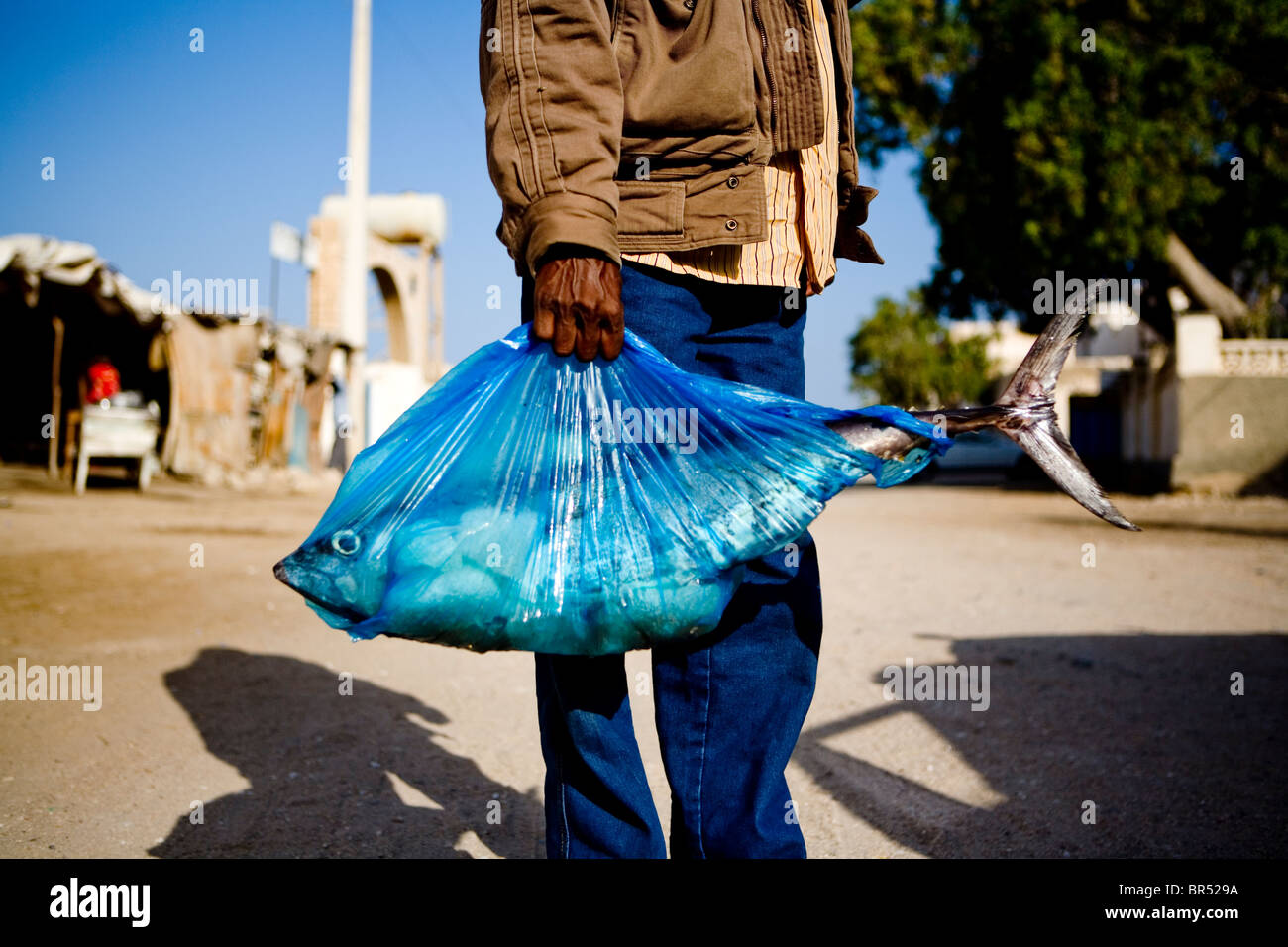 A man holds a recently caught tuna fish in the once busy fishing ...