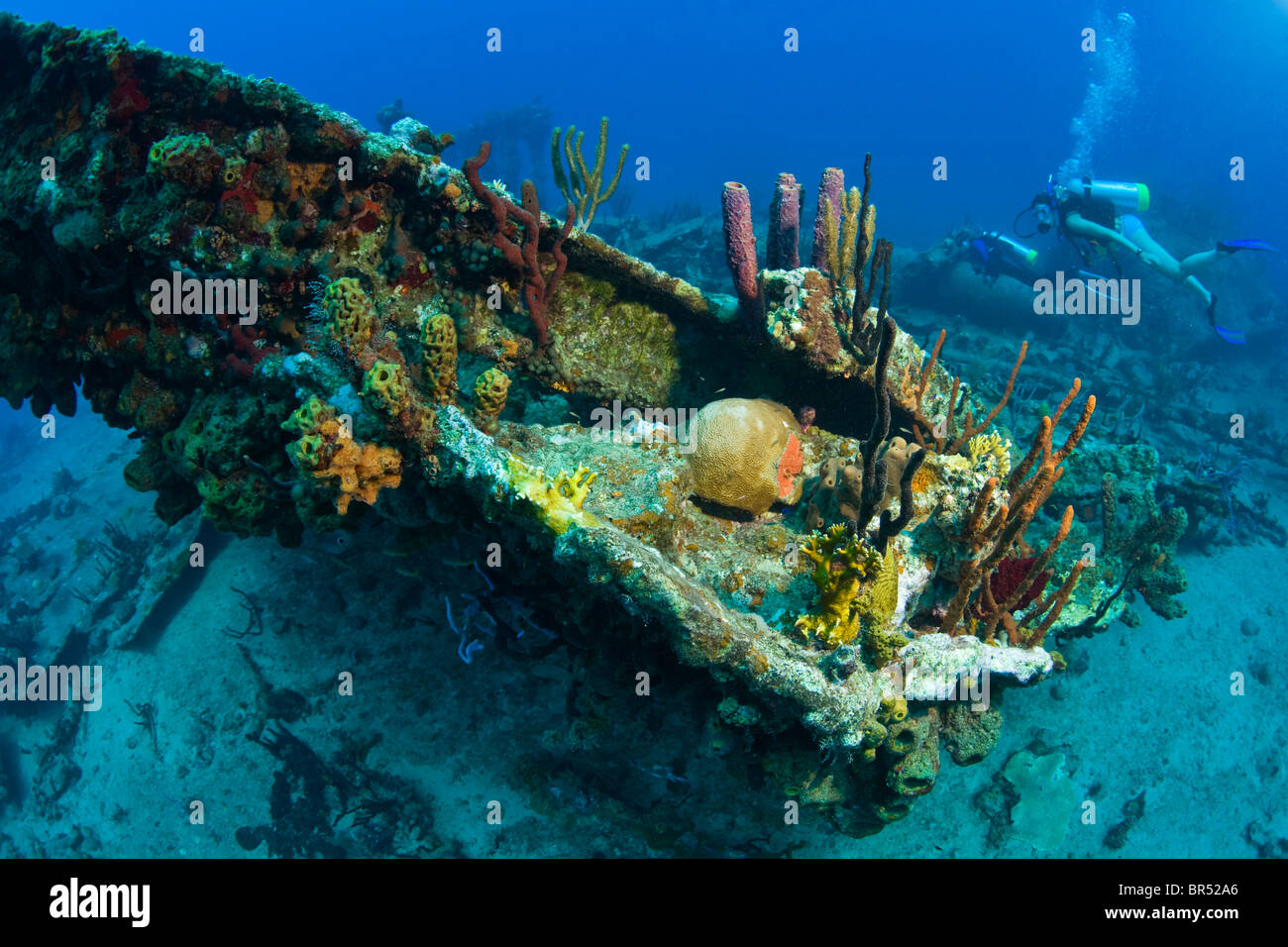 divers, Wreck of the RMS Rhone, iron-hulled steam sailing vessel Stock ...