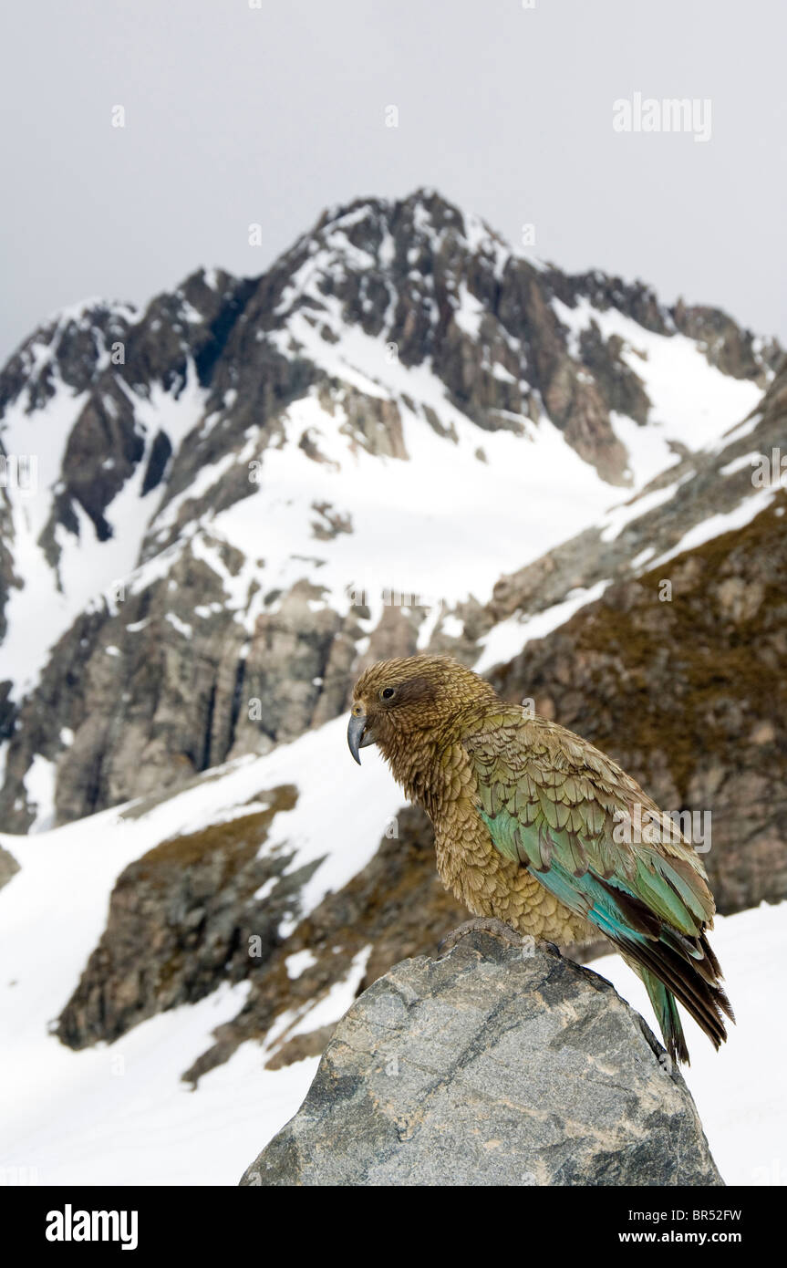 Arrowsmith range hi-res stock photography and images - Alamy