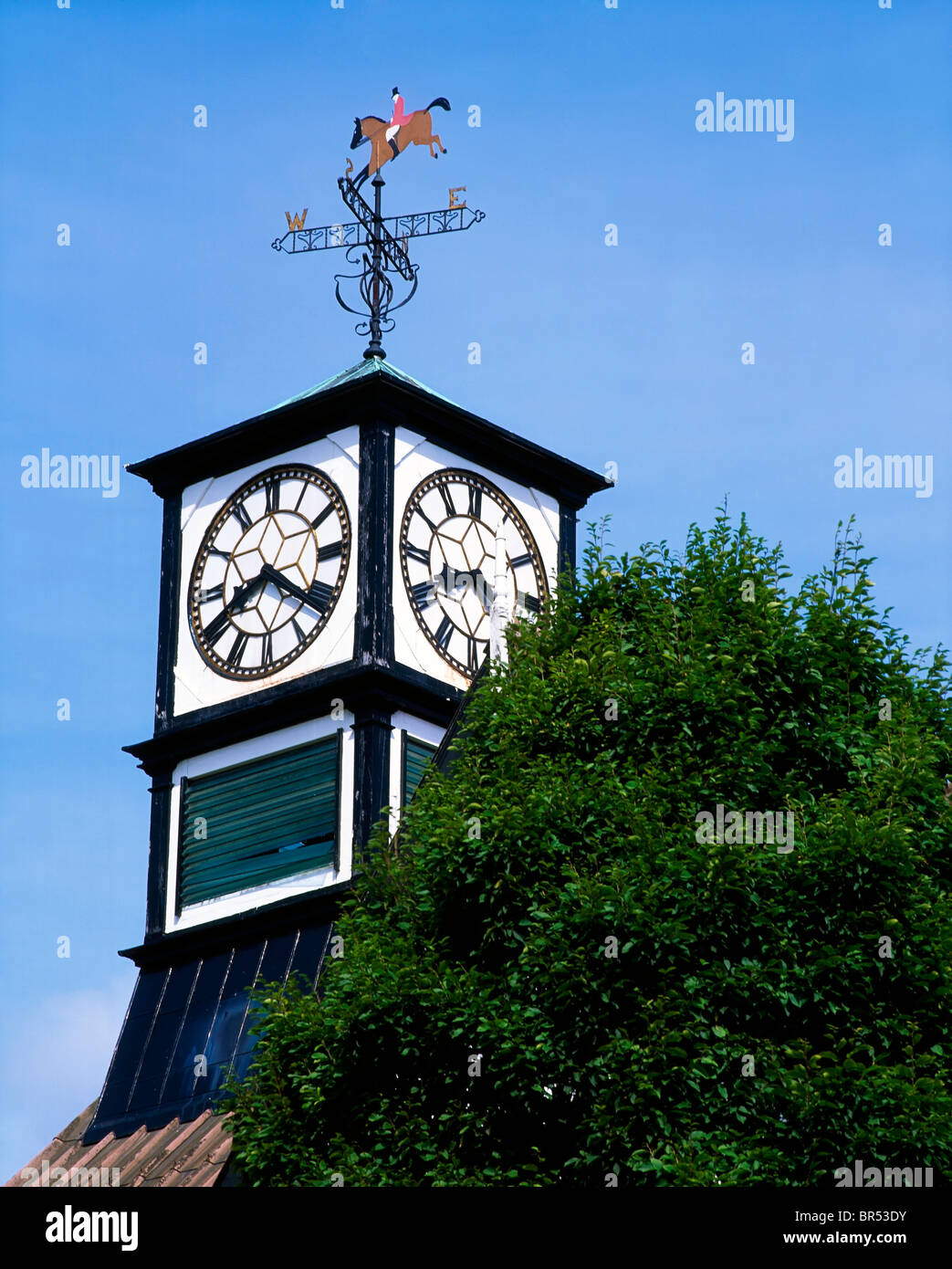 Dublin, Co Dublin, Ireland, Royal Dublin Society (R.D.S Stock Photo - Alamy