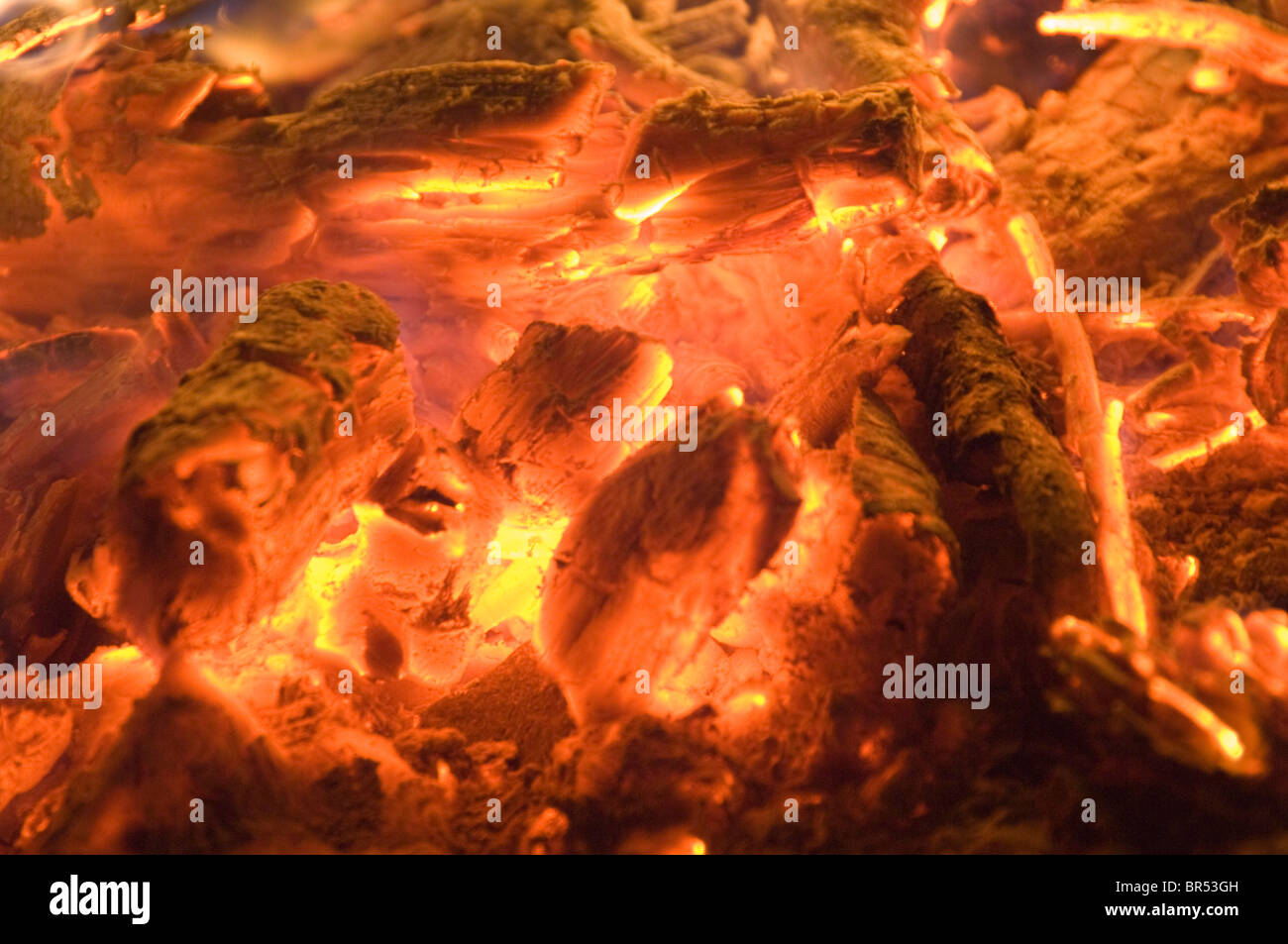New Zealand, South Island, Arthurs Pass National Park. Glowing coals in ...