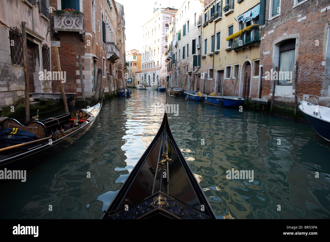 A female gondolier in Venice Stock Photo - Alamy