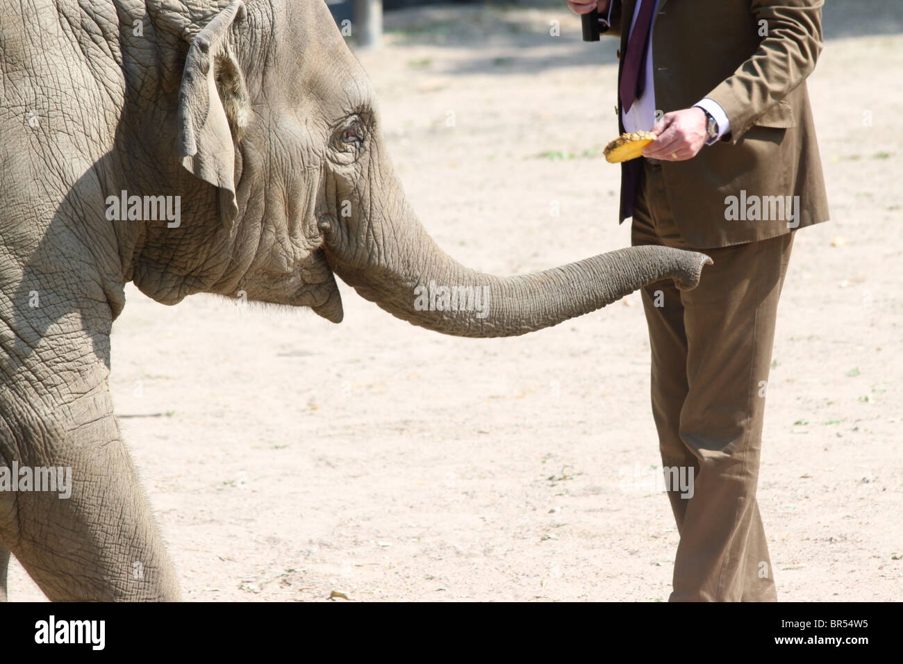 Zoo hamburg hi-res stock photography and images - Alamy