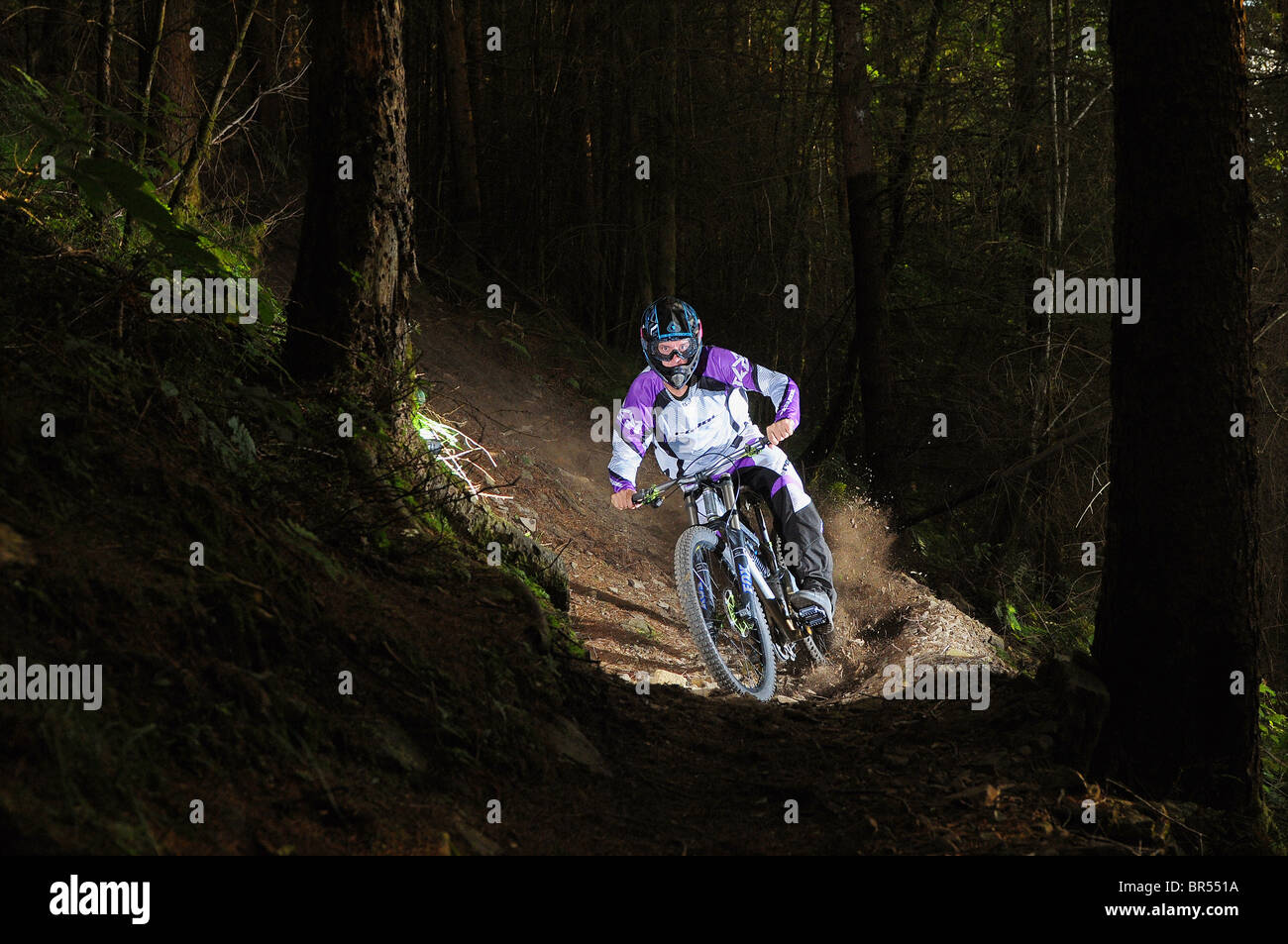 A downhill mountain biker corners at speed on a trail in woodland Stock ...