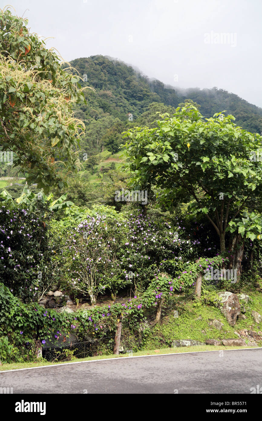 Rural landscapes of the Chiriqui Province, oriental region of Panama ...