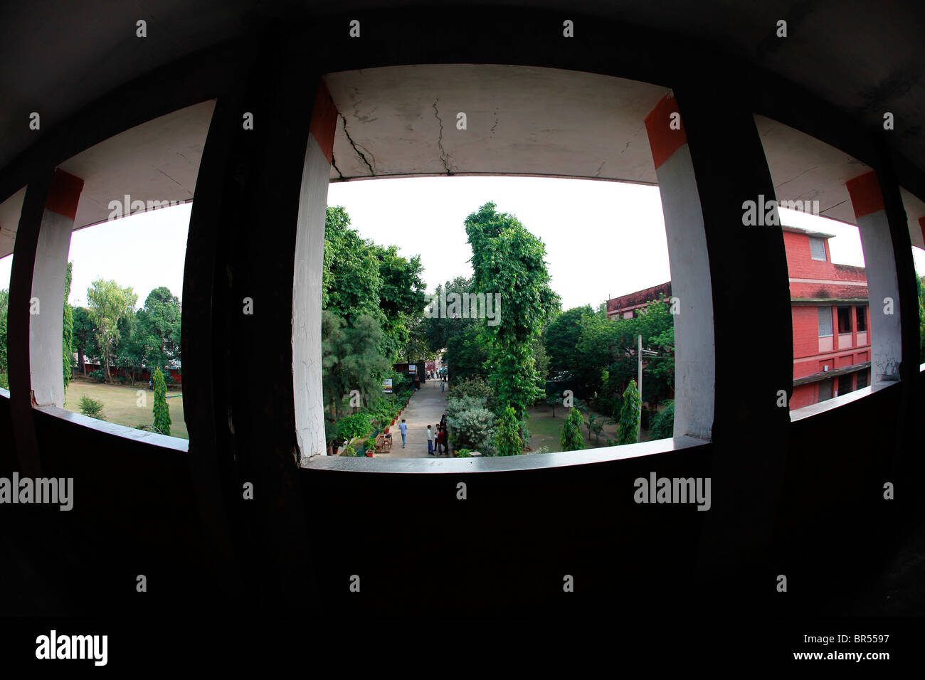 Extreme fish hi-res stock photography and images - Alamy